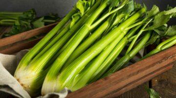 Sellerie: Anbau, Arten & Wirkung: 1 umfassender Leitfaden